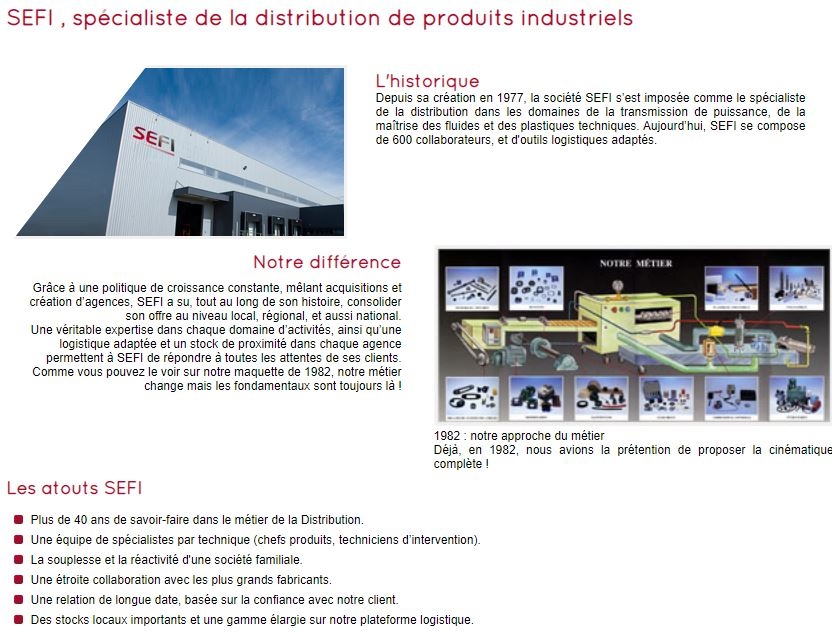 Fiche entreprise de SEFI ANCENIS Recrutement - Pays d'Ancenis